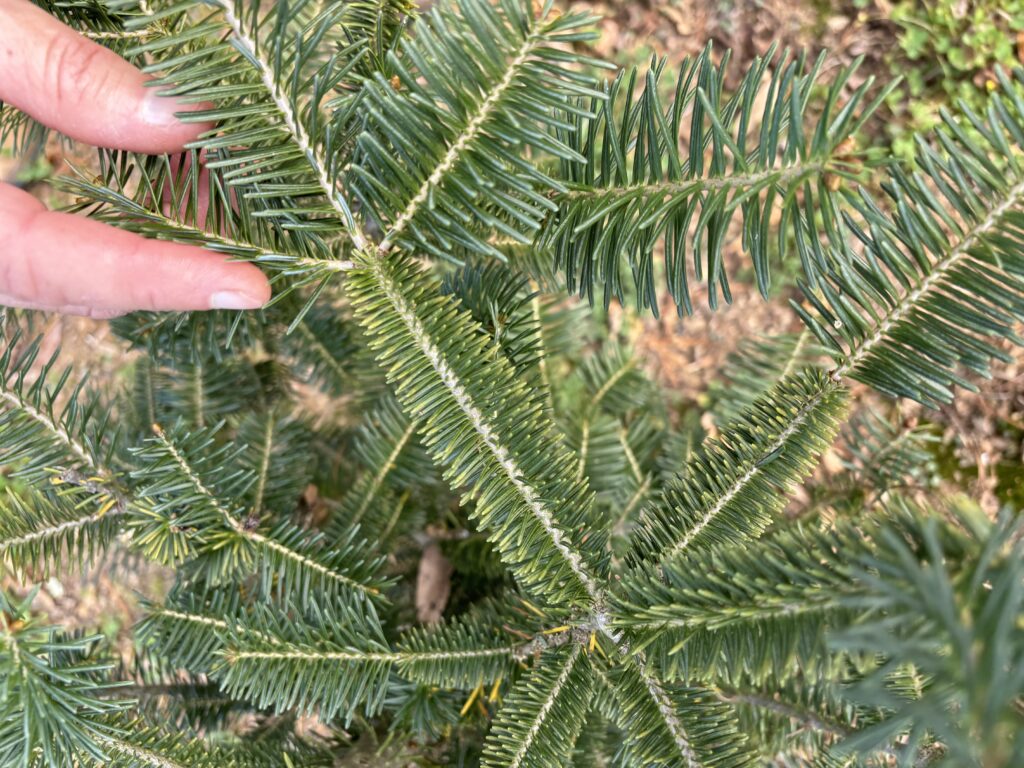 Brunswick County Center | N.C. Cooperative Extension